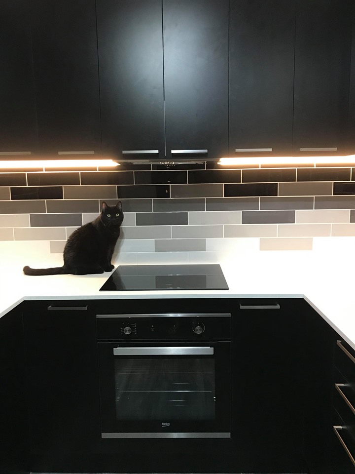 Black Cat Chic Kitchen – Architects Black and Wilson